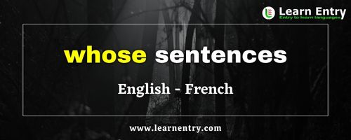 Whose sentences in French and English - Learn Entry