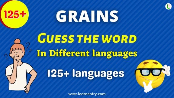 Guess the Grains words in different Languages - Learn Entry