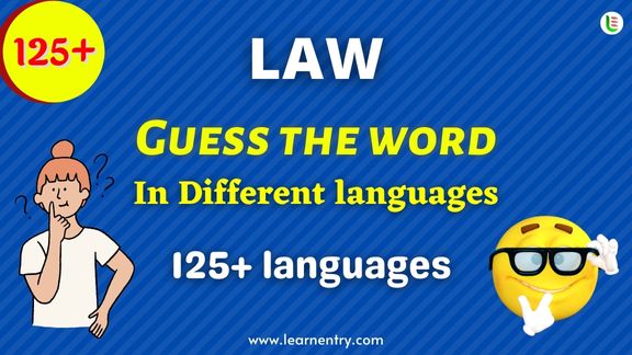 Guess the Law words in different Languages - Learn Entry