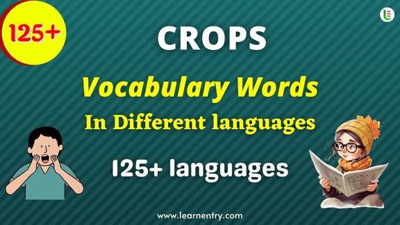 Crops vocabulary words in different Languages - Learn Entry