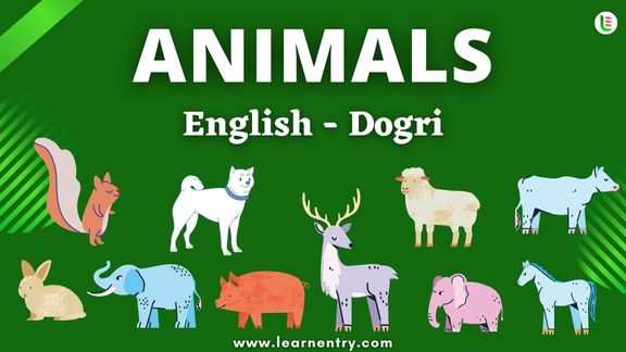 Animals names in Dogri and English - Common Dogri Vocabulary