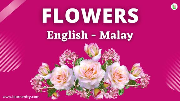 Flower names in Malay and English - Common Malay Vocabulary